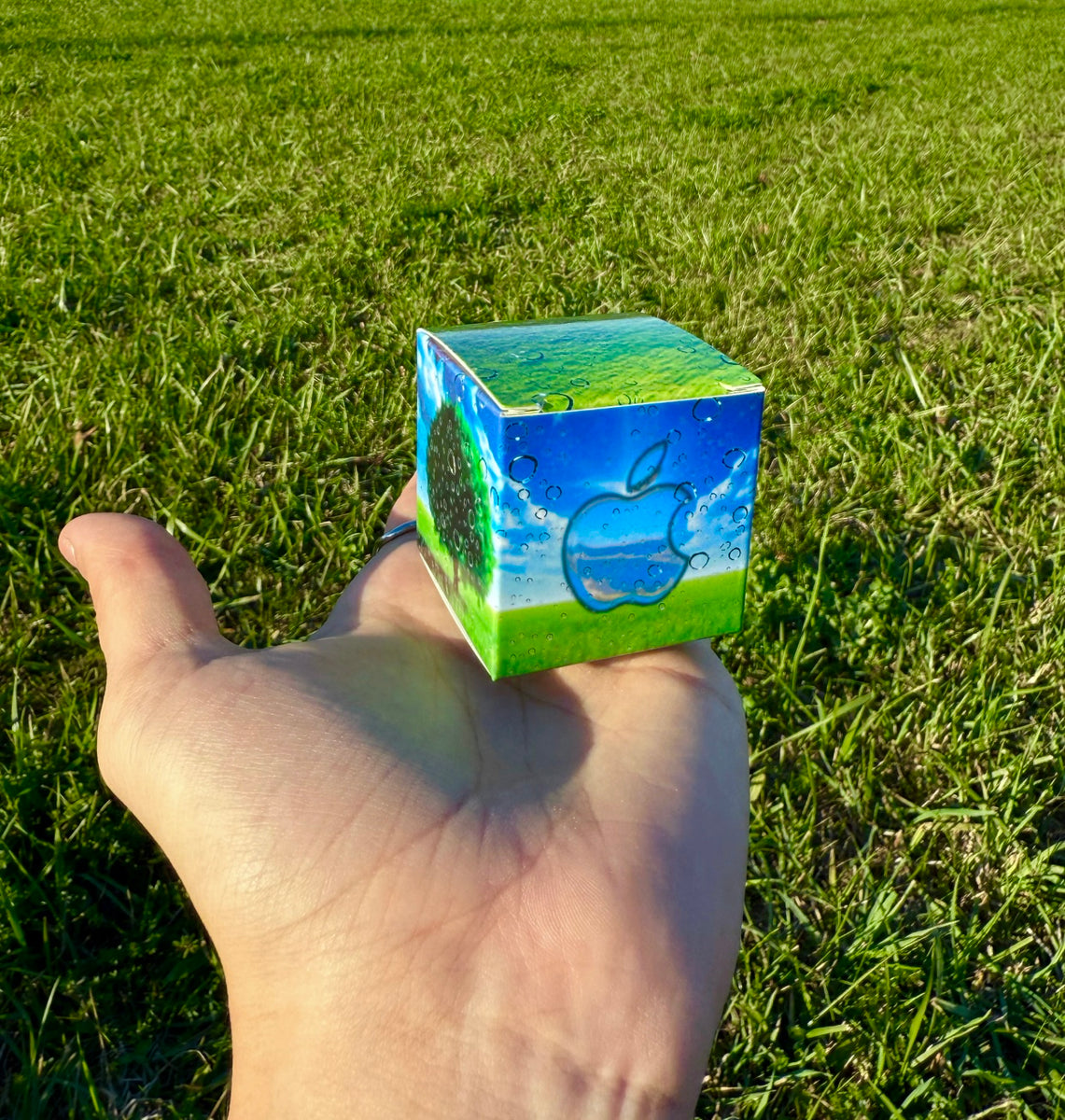 "Aero" iPod Shuffle Blind Box By Frutiger PM 🐠🪸🍏 – UNJUST JEWELRY